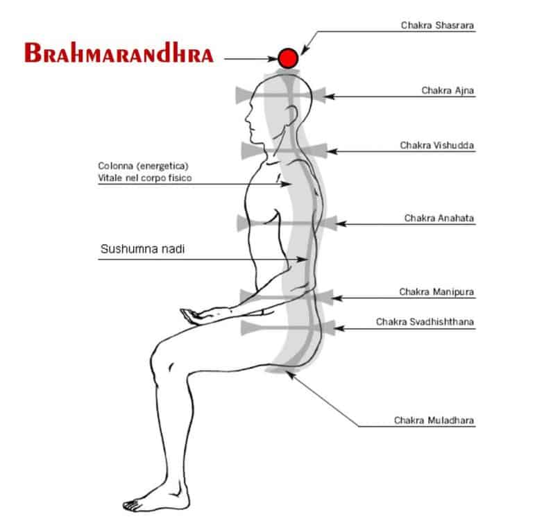 Deschiderea lui Brahmarandhra - Spanda Project