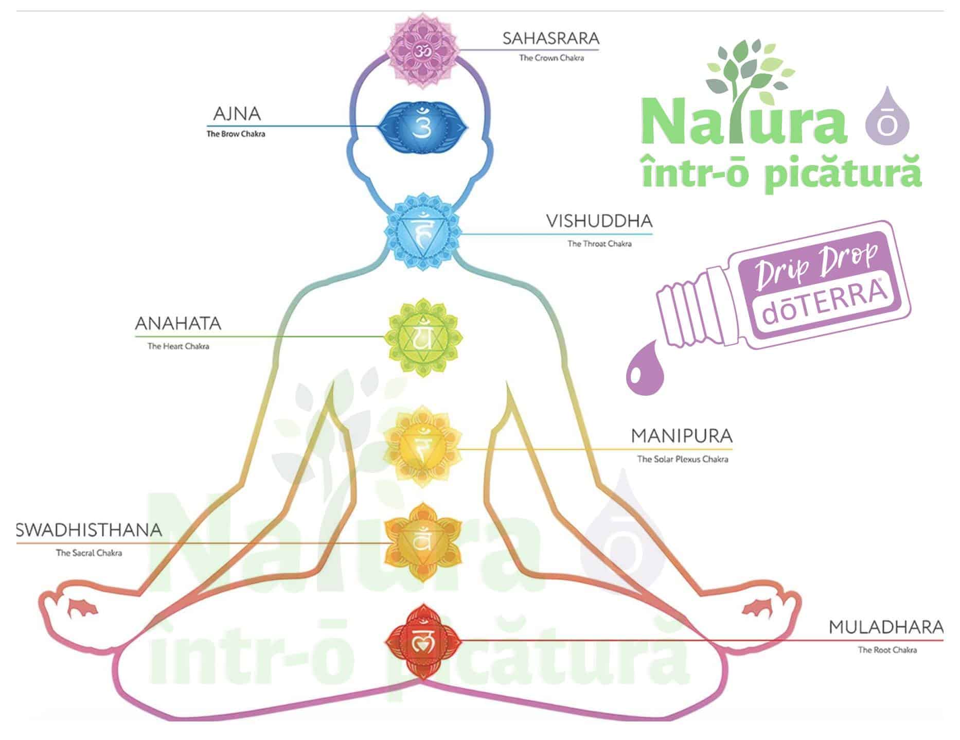 Chakra-ele și Uleiurile Esențiale doTERRA – partea a 7-a (Sahasrara ...